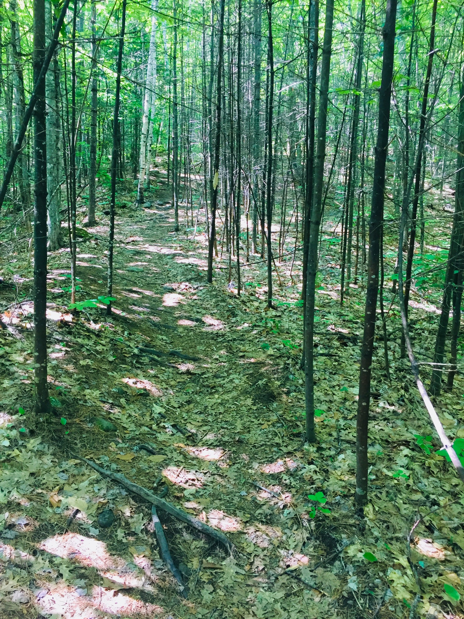 Sabattus Mountain (Lovell, ME) – Hiking in Maine