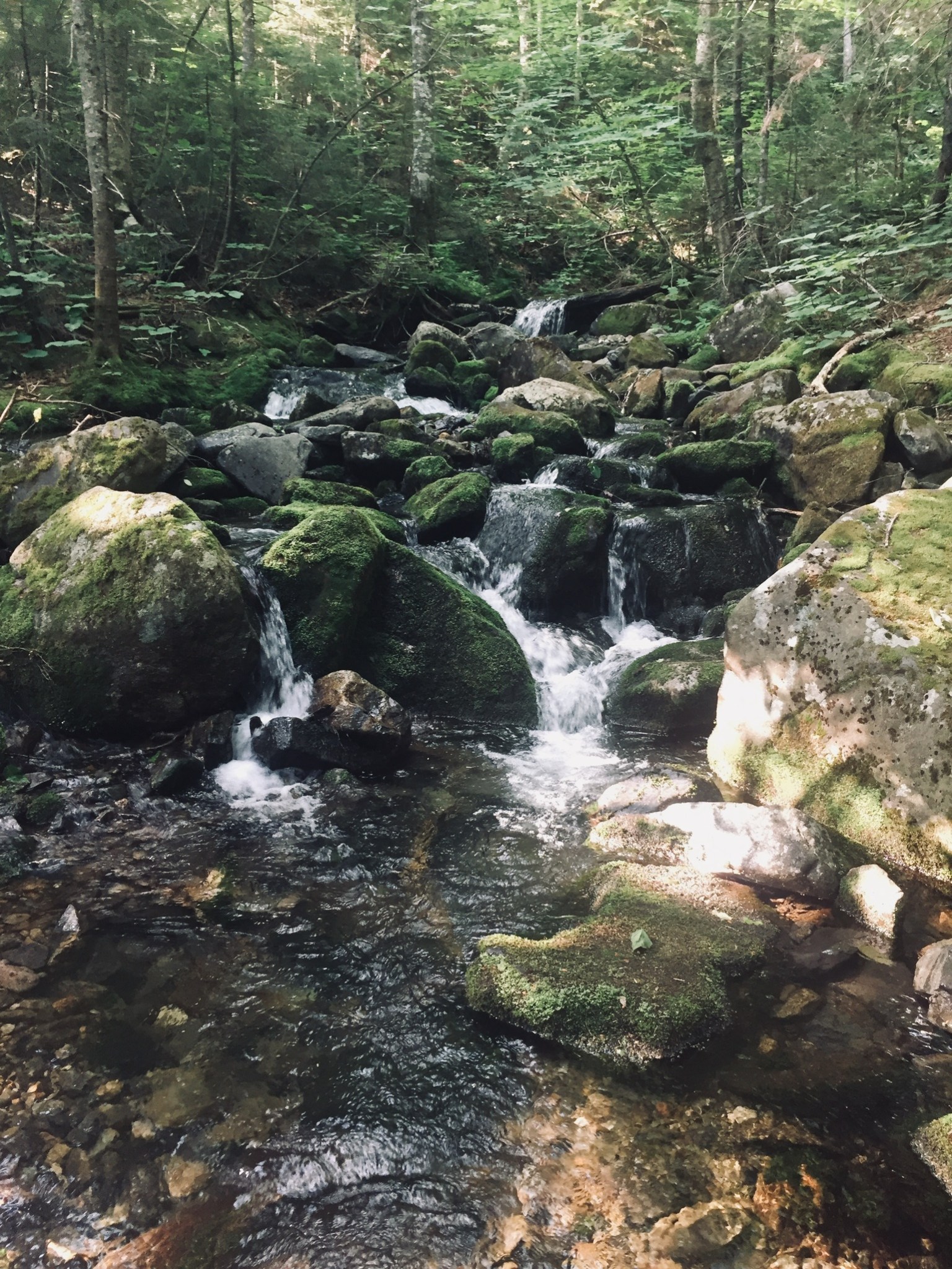 Mount Abraham (Mt. Abram Township, ME) – Hiking in Maine