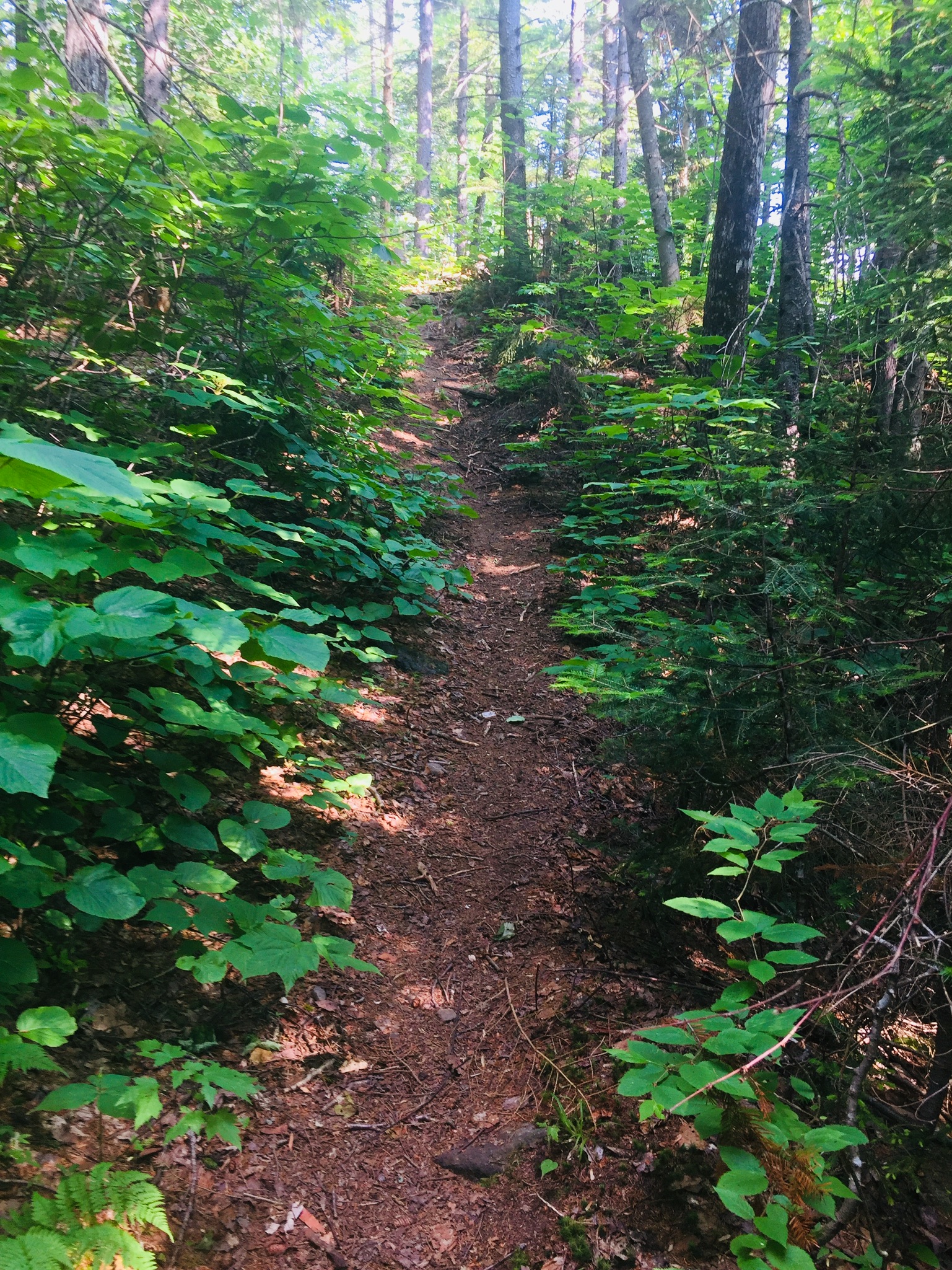 Mount Abraham (Mt. Abram Township, ME) – Hiking in Maine
