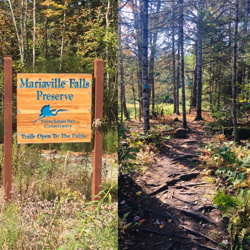 Mariaville Falls Preserve (Mariaville, ME) – Hiking in Maine