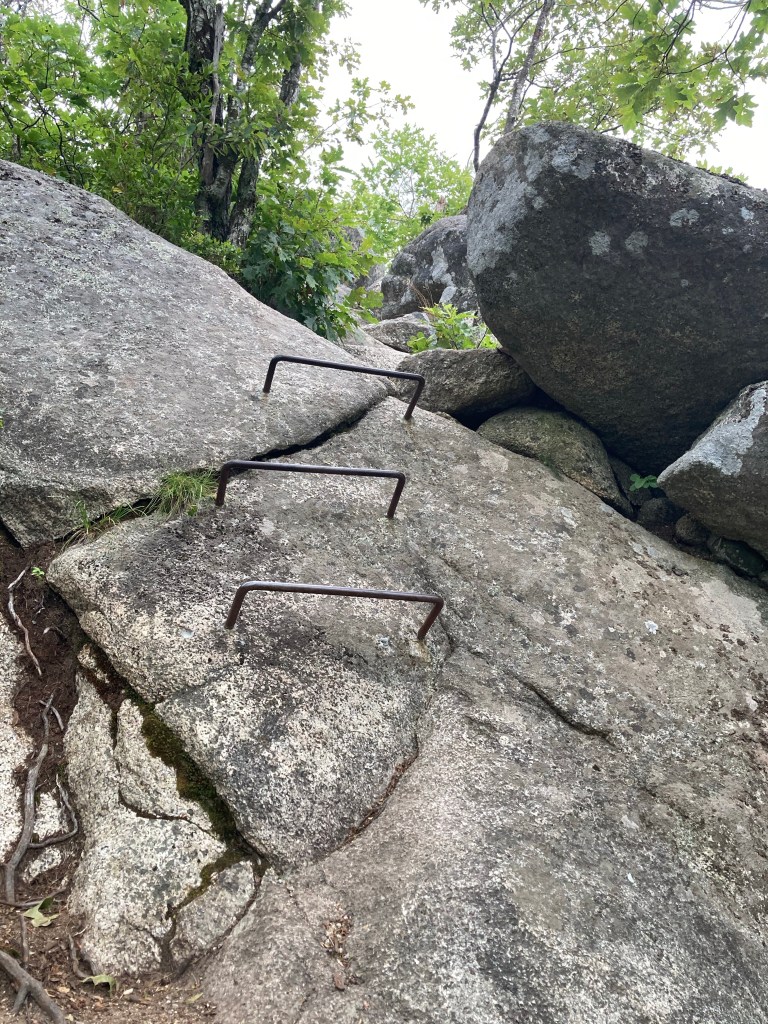 Tunk Mountain (T10 SD) – Hiking in Maine