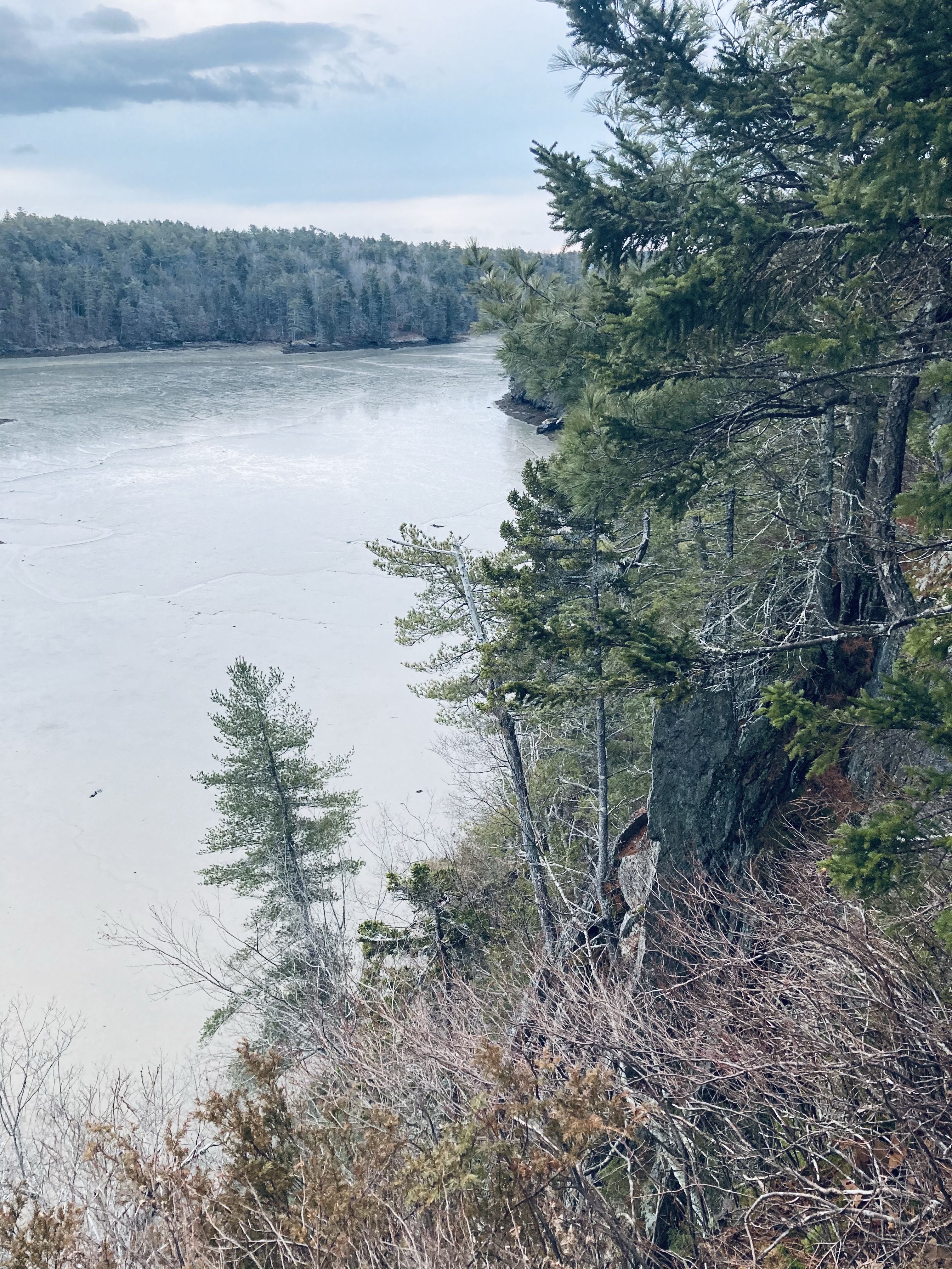 Cliff Trail (Harpswell, ME) – Hiking in Maine