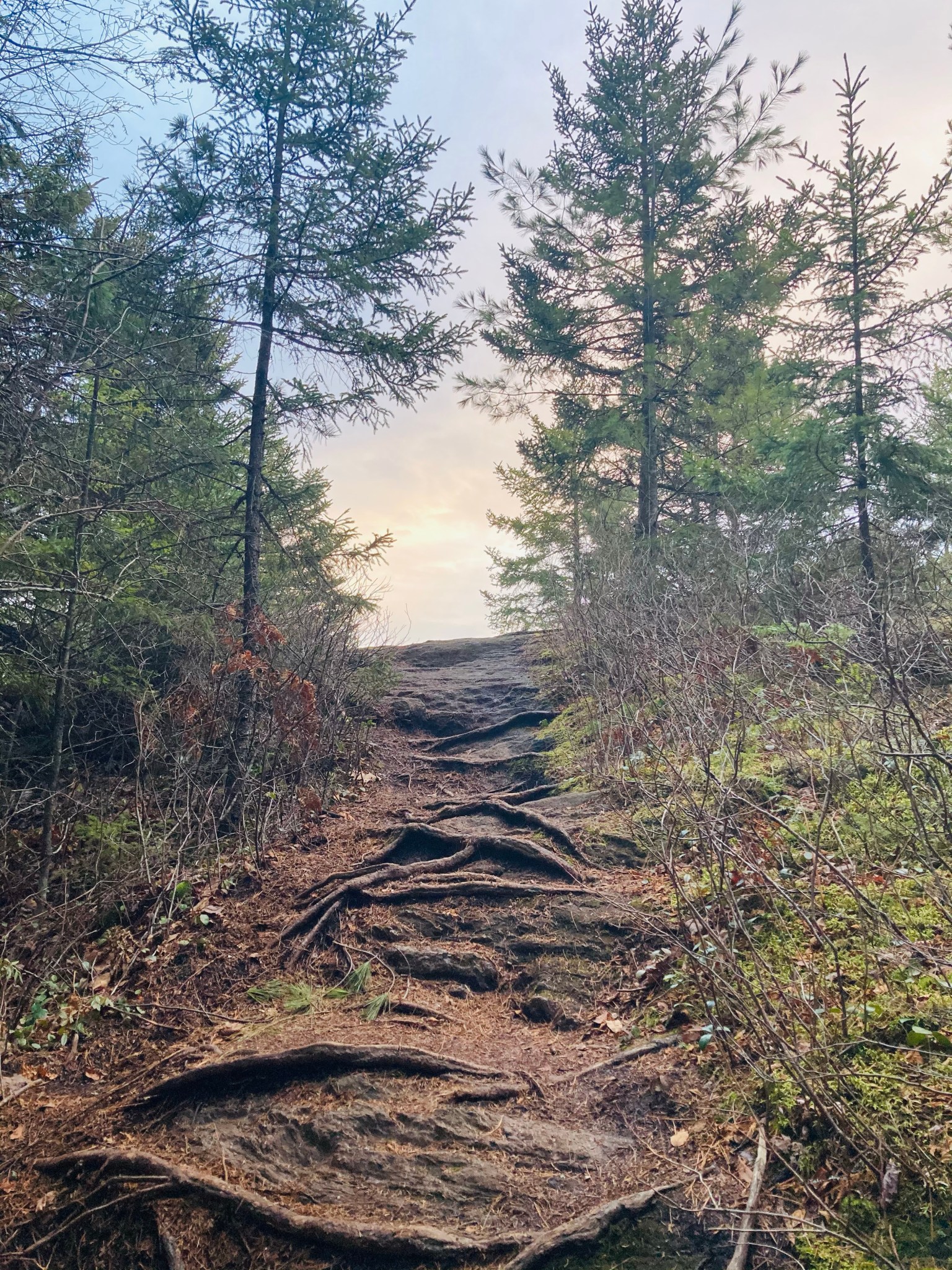 Cliff Trail (Harpswell, ME) – Hiking in Maine