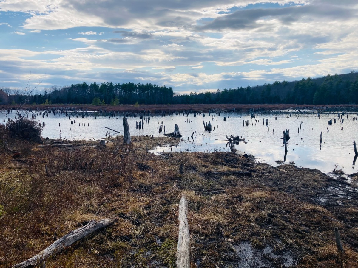 Knight’s Pond Preserve – Hiking in Maine