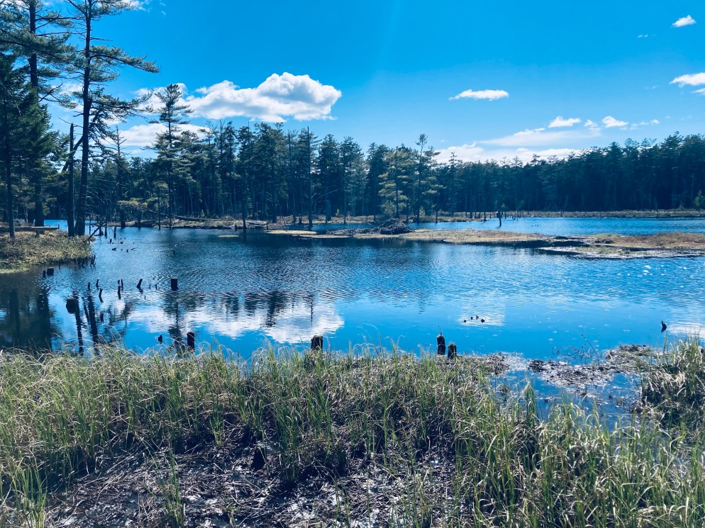 Reid State Park Loop – Hiking in Maine