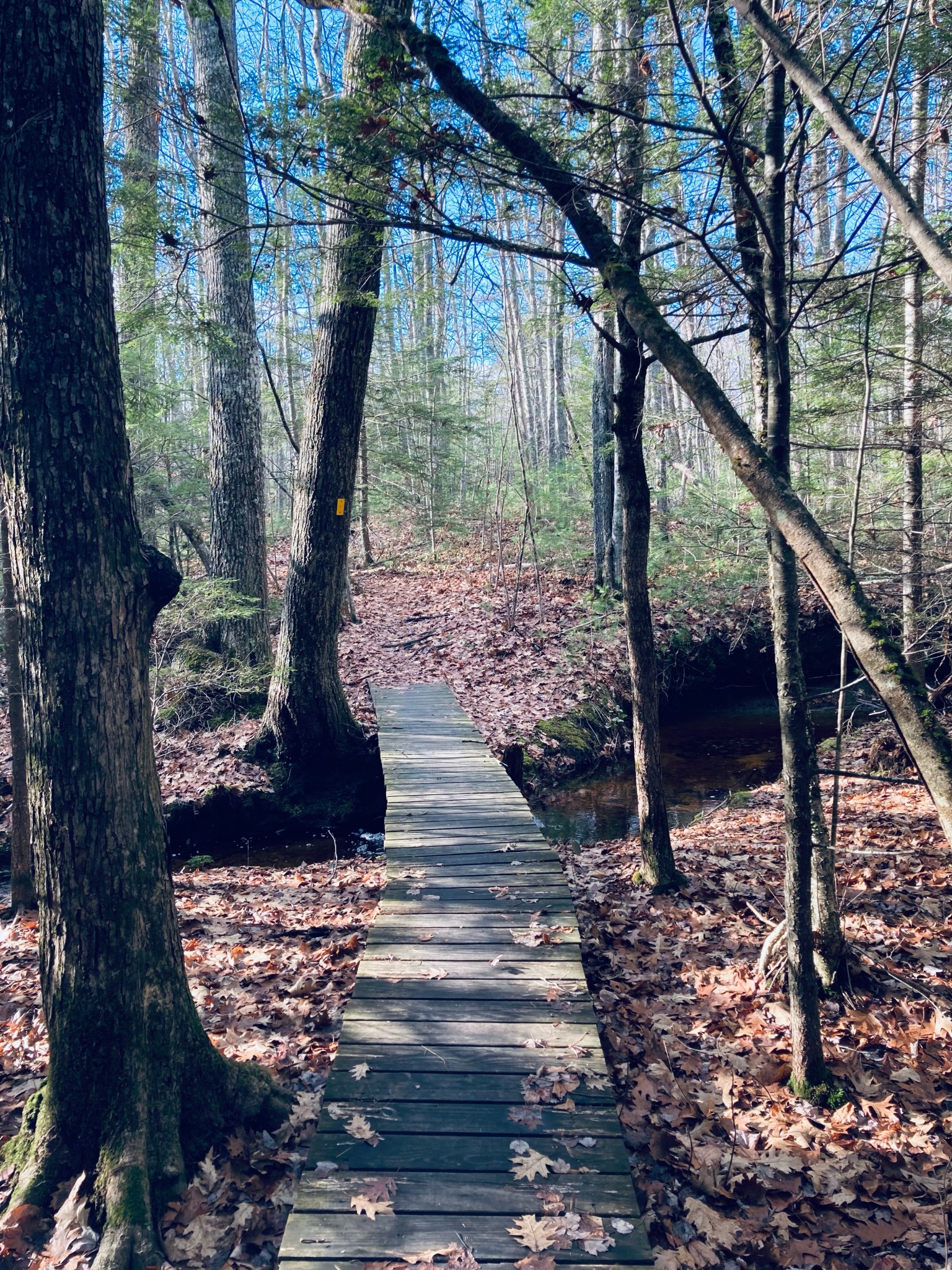 Edwin L. Smith Preserve (Kennebunkport, ME) – Hiking in Maine