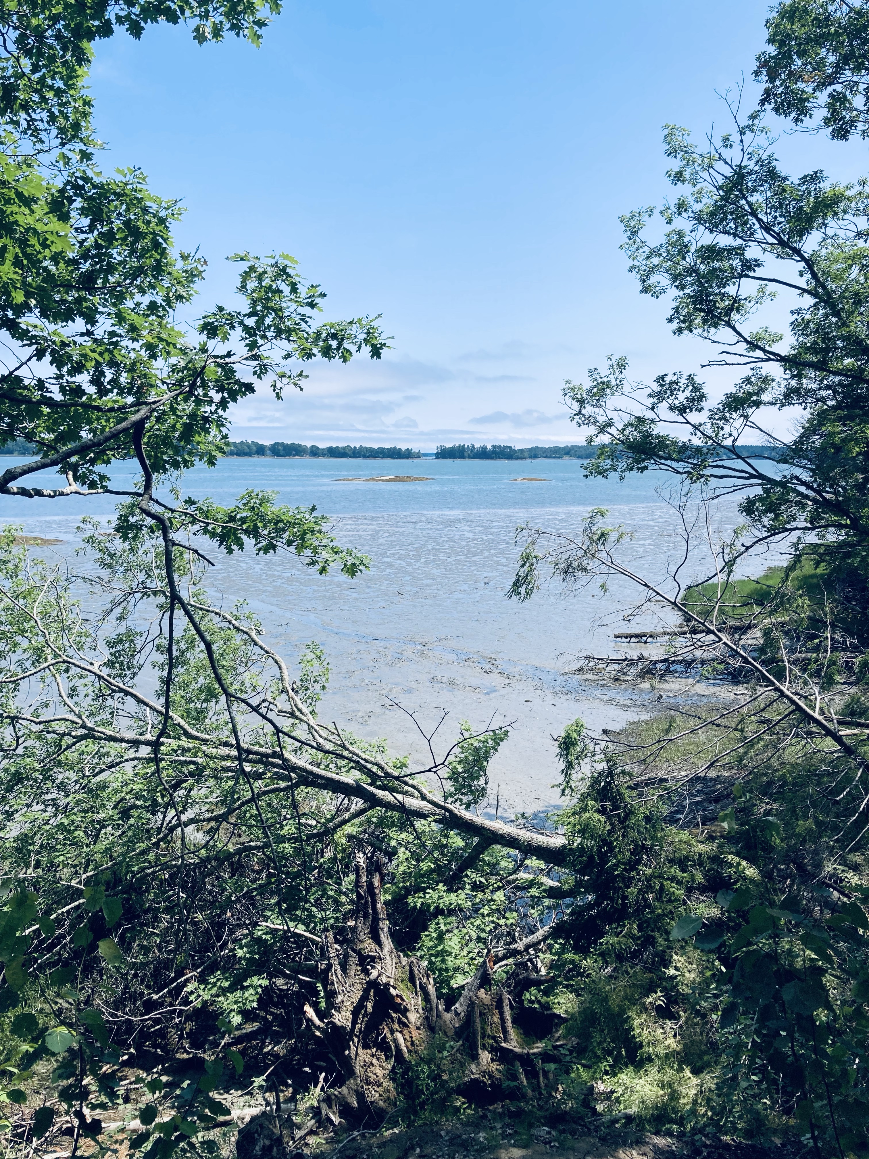 Casco Bay Trail – Hiking in Maine