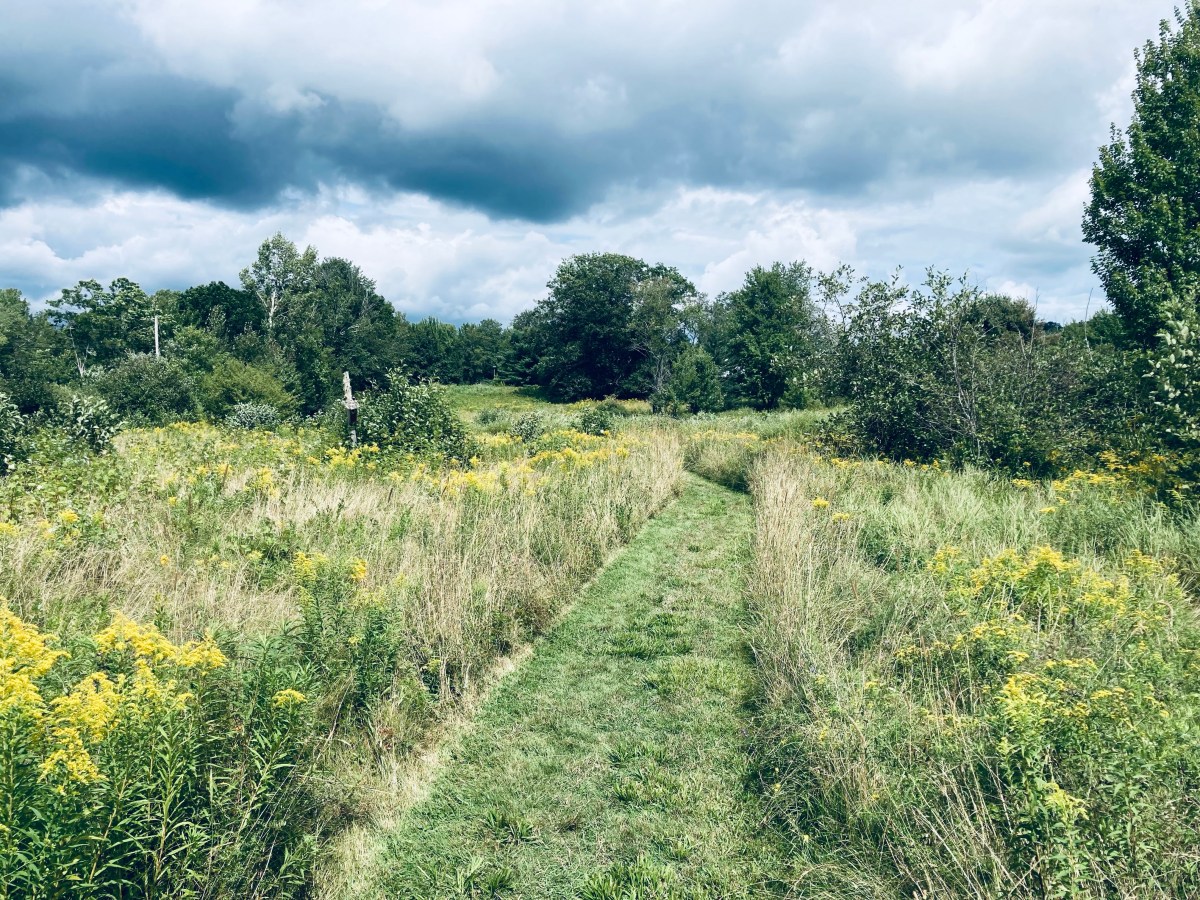 Fields Pond Audubon Center (Holden, ME) – Hiking in Maine