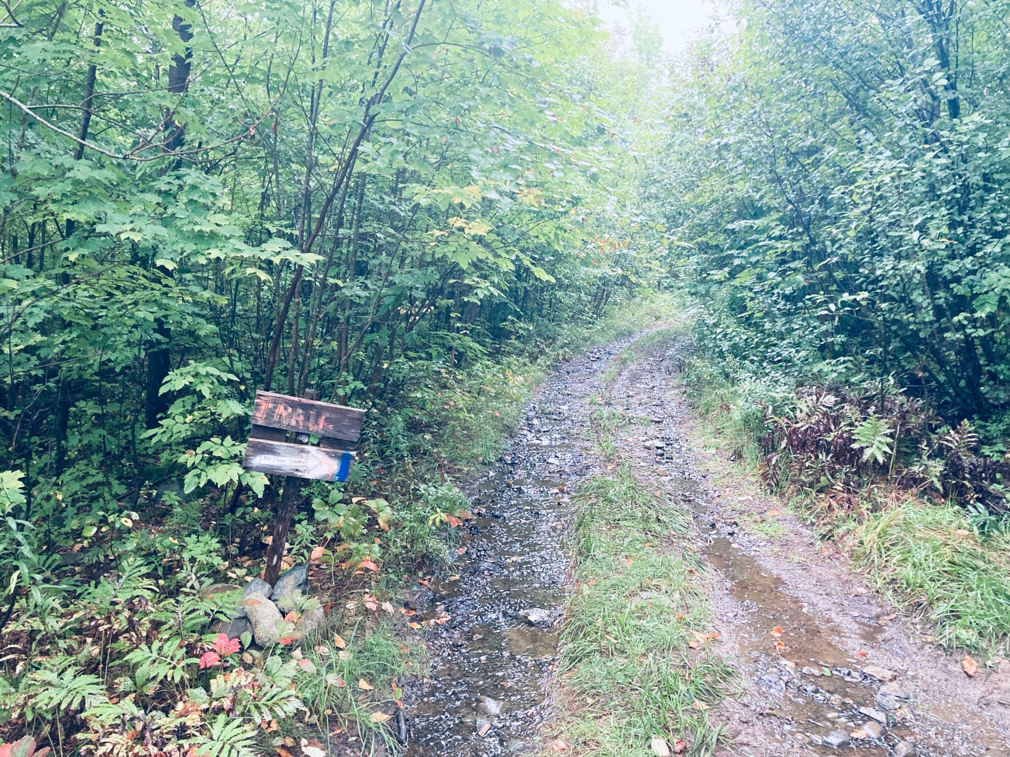 Mount Chase – Hiking in Maine