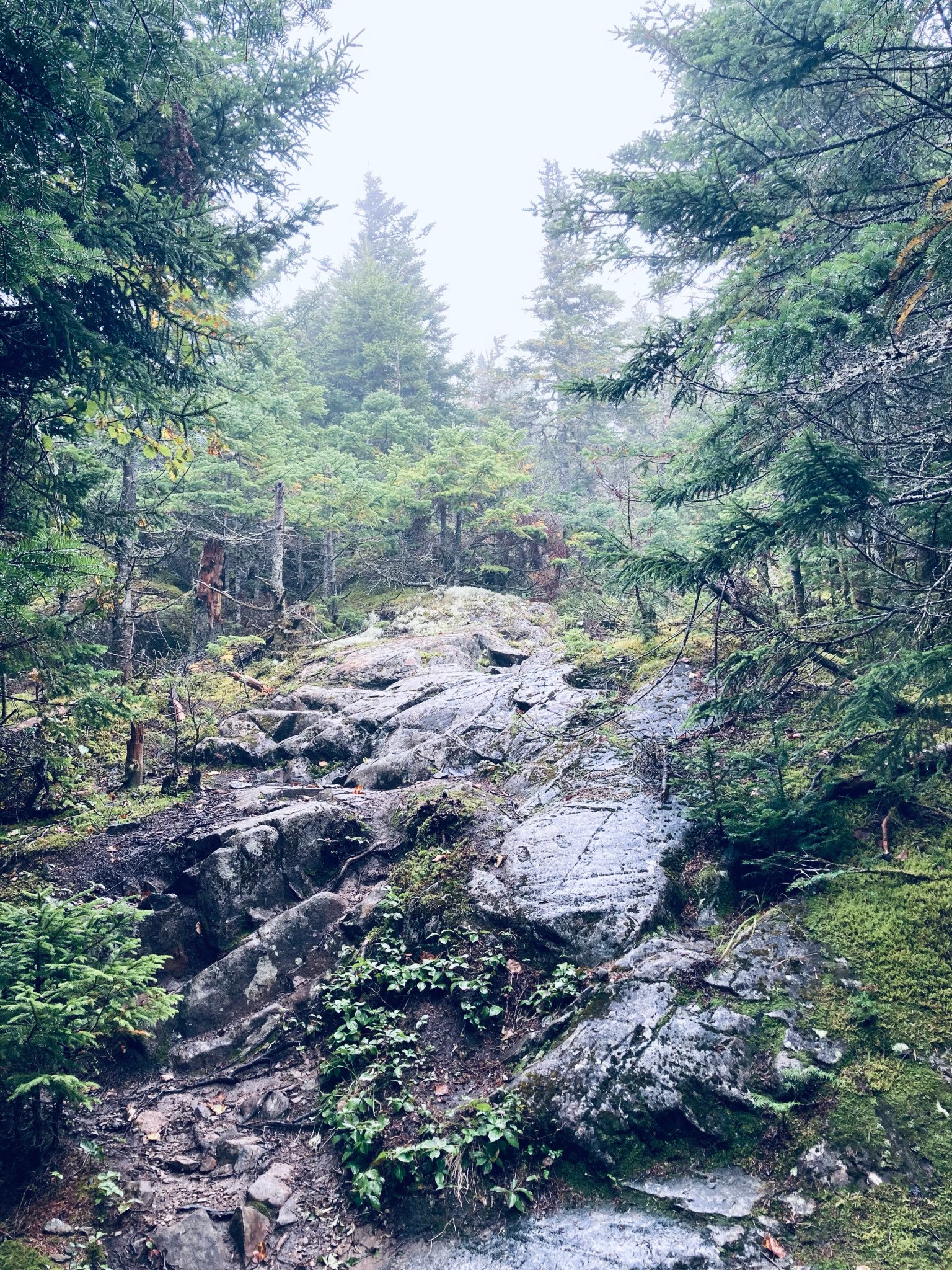 Mount Chase – Hiking in Maine