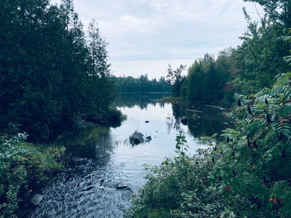 Owl’s Head Trail (Scraggly Lake Public Land) – Hiking in Maine