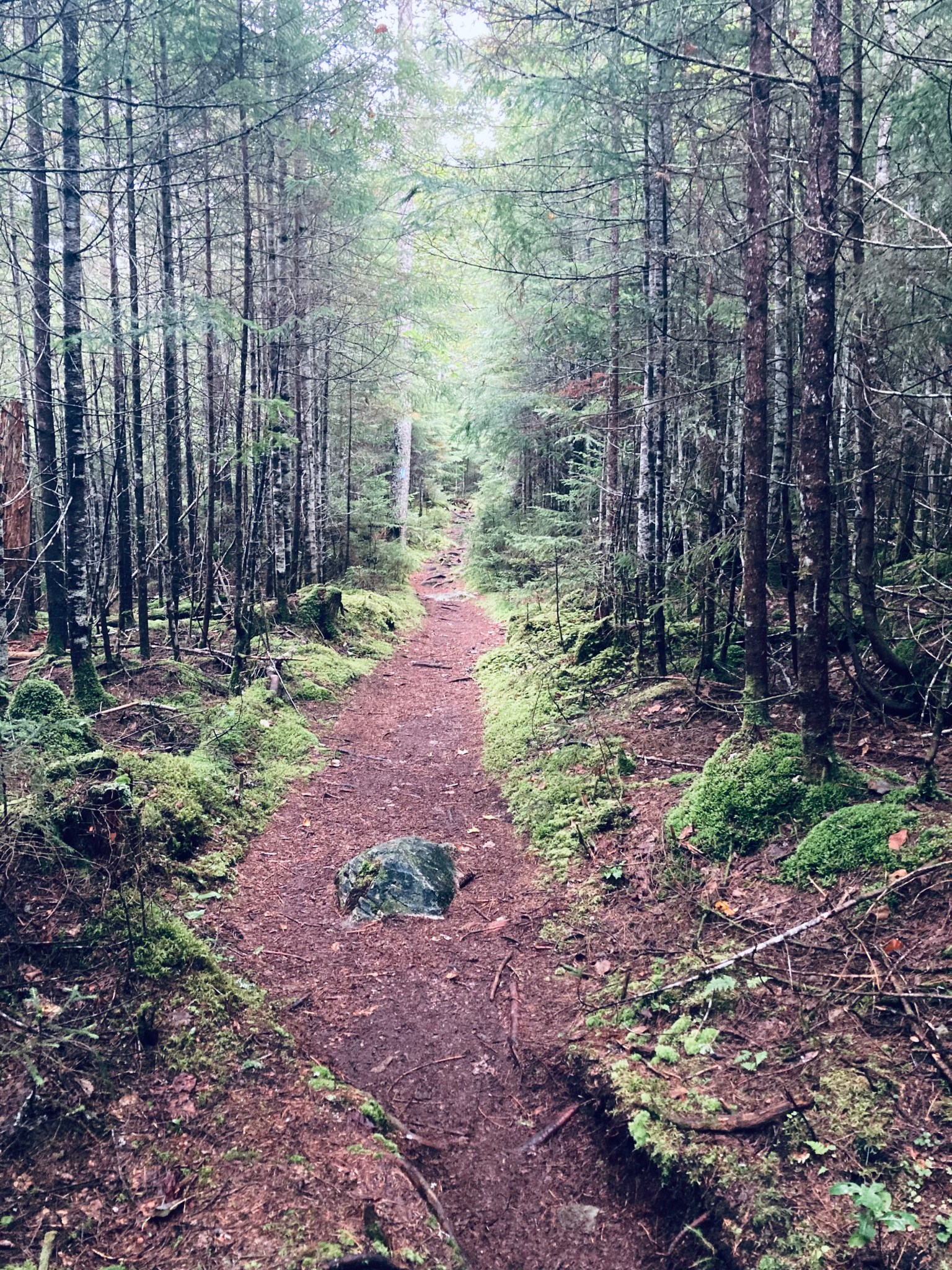 Sentinel Mountain – Hiking in Maine