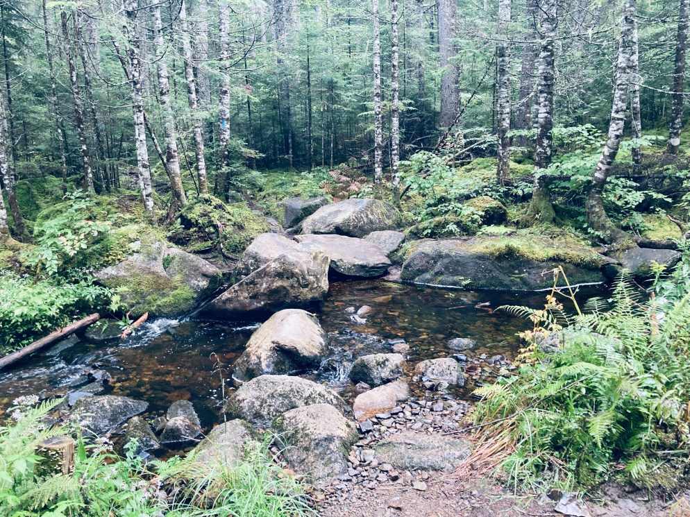Sentinel Mountain – Hiking in Maine