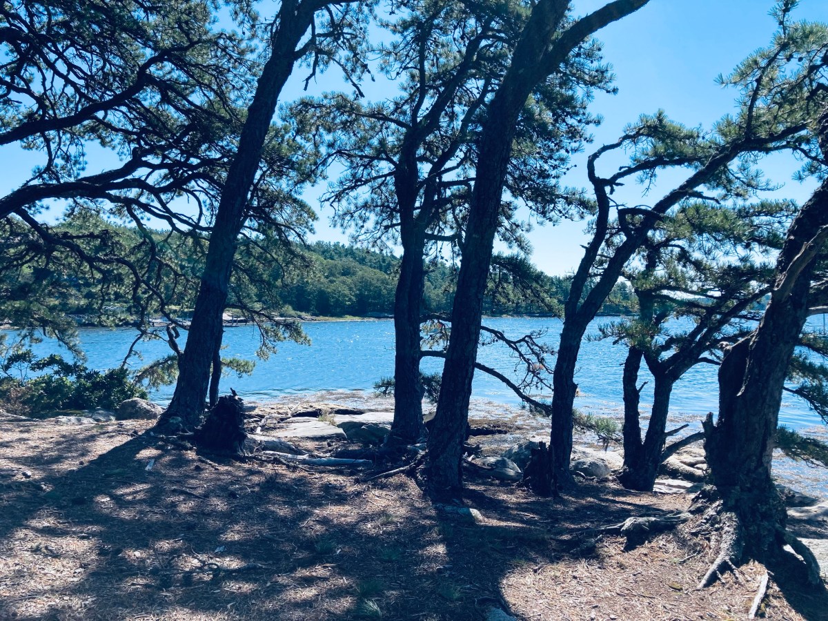 Bonyun Preserve (Westport Island, ME) – Hiking in Maine