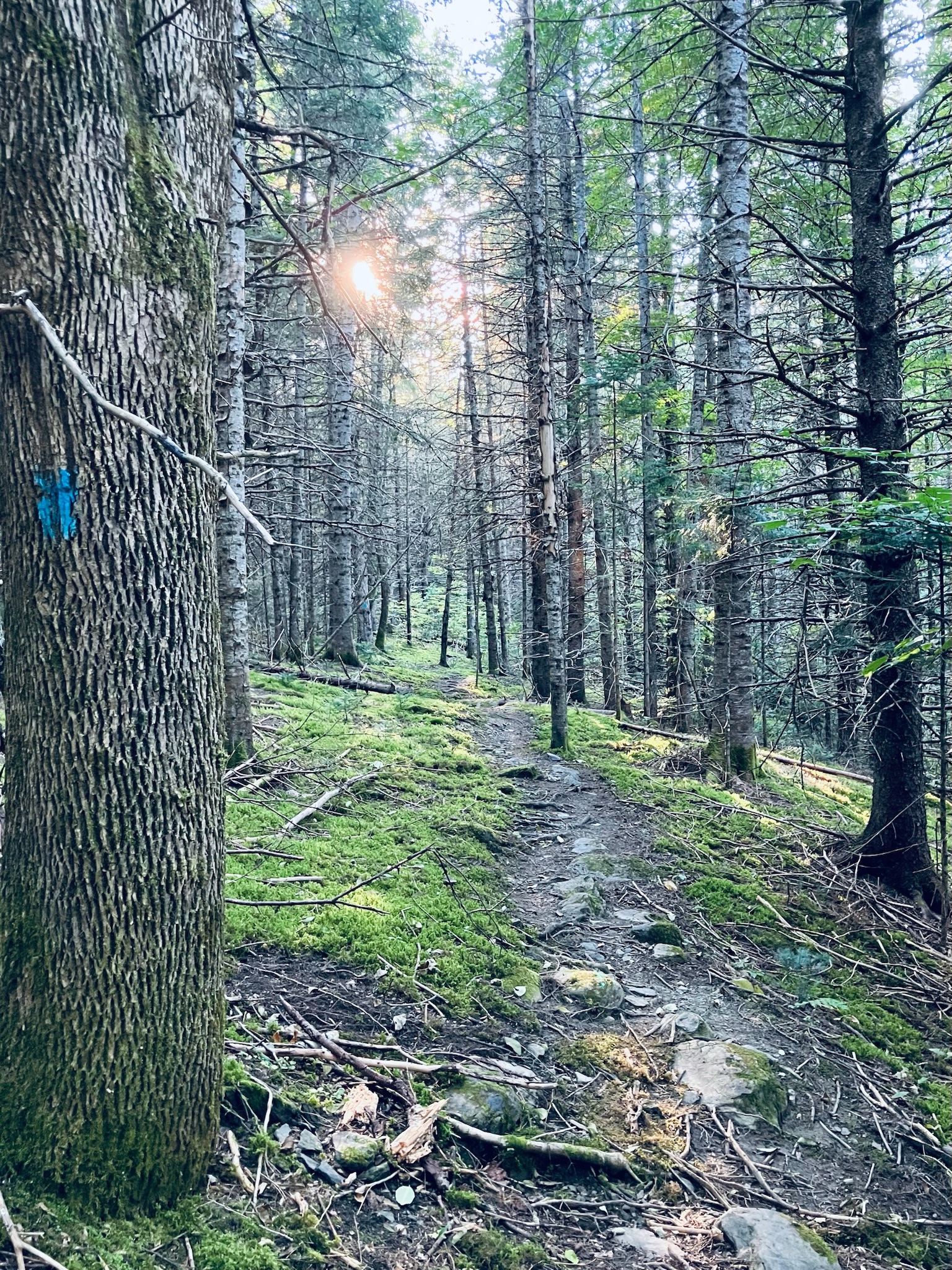 Baxter State Park – Hiking in Maine