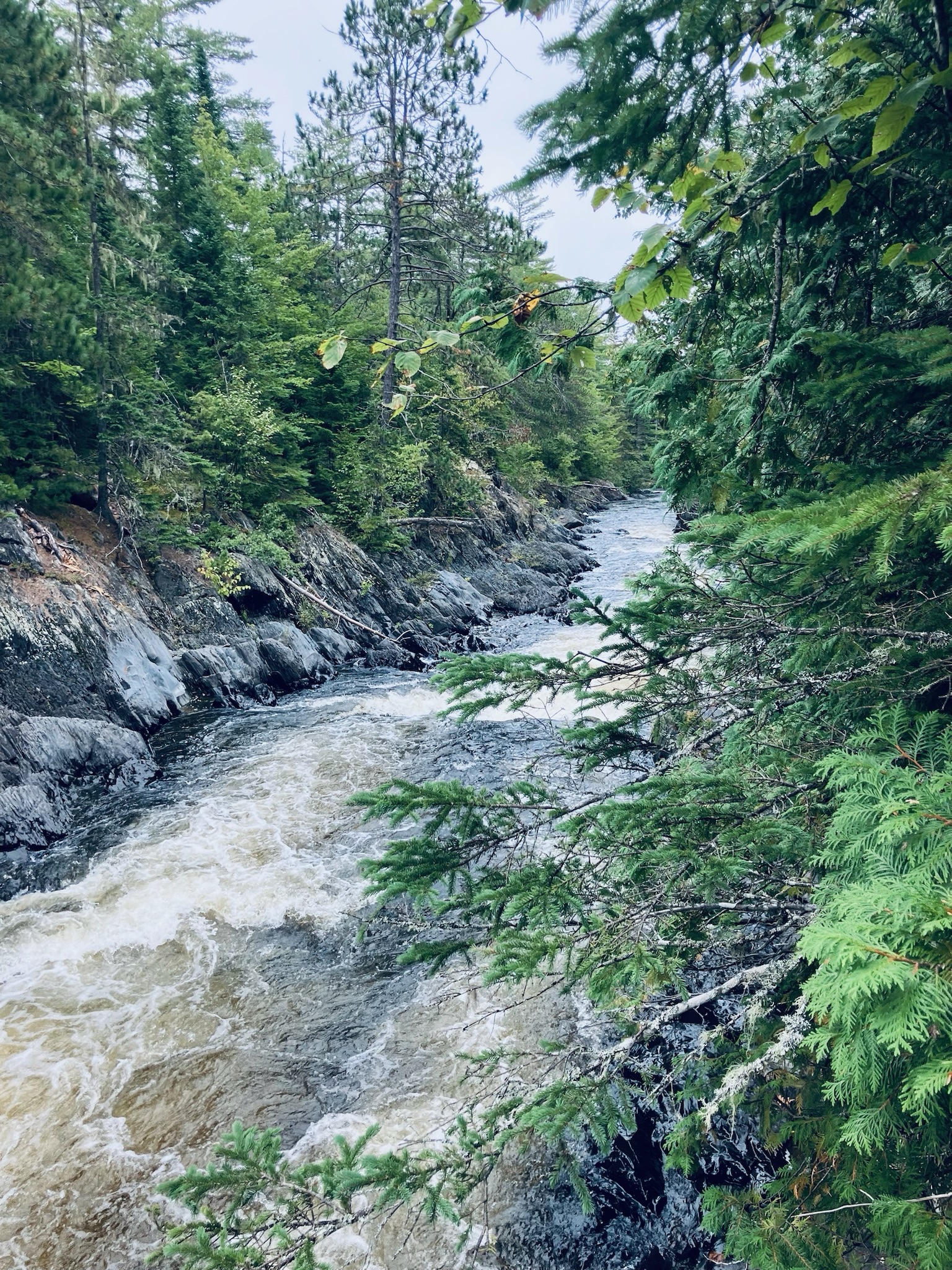 Freezeout Trail to Webster Stream Grand Pitch – Hiking in Maine