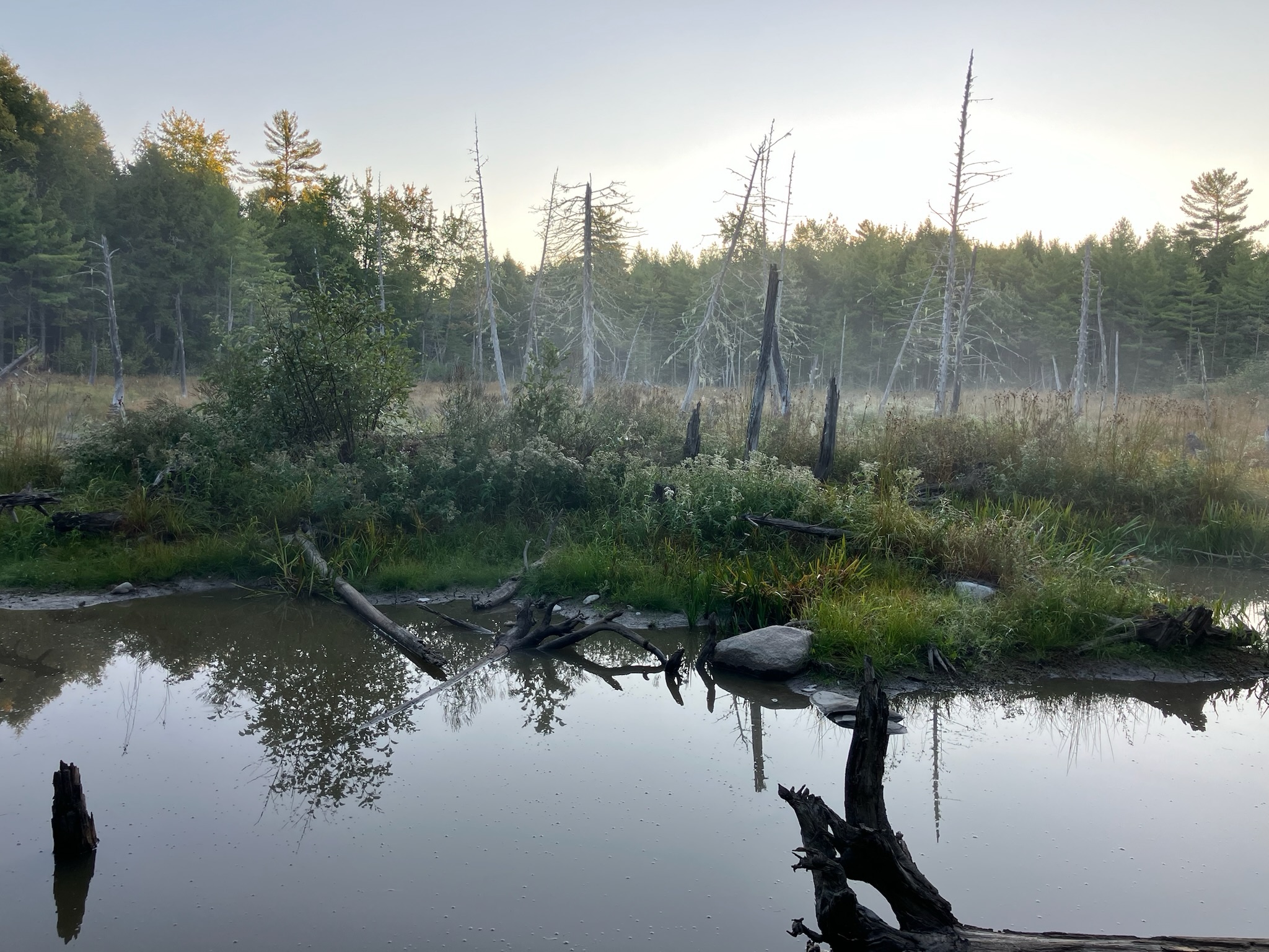 Johnson Brook Trail (Sunkhaze NWR) – Hiking in Maine